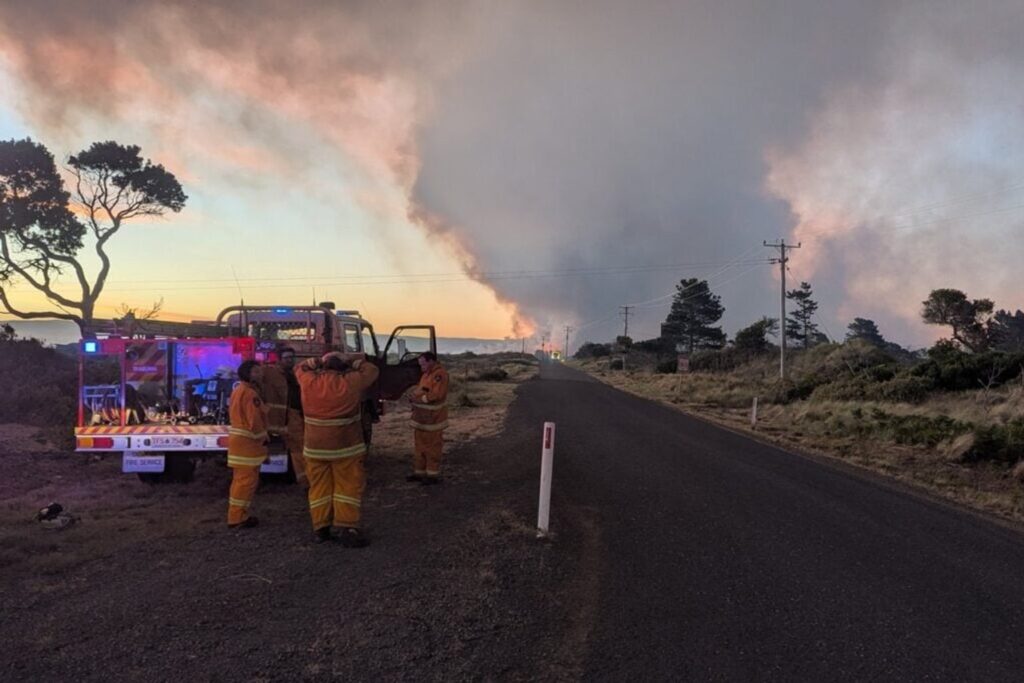 Landowner’s registered burn determined as cause of devastating Dolphin ...