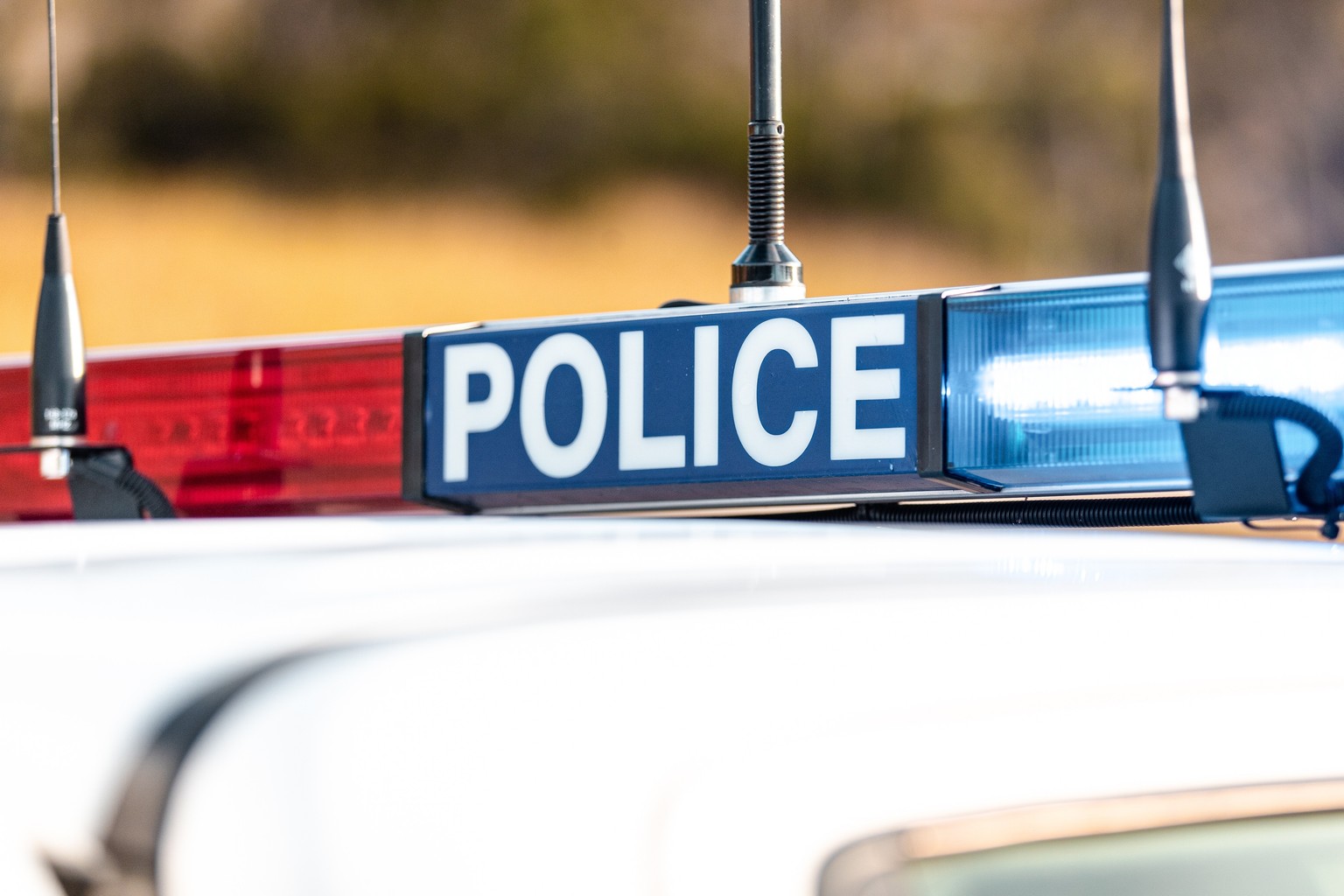 Police search for ‘man acting suspiciously’ near Epping Forest after ...