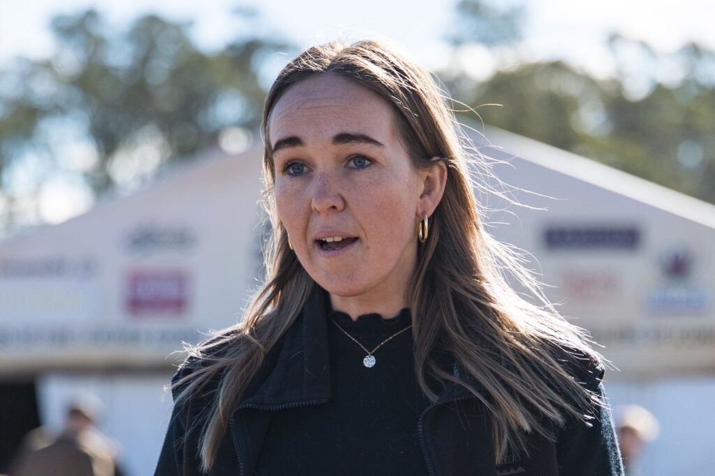 Greens MP demands action on Great Lake mobile black spots - Pulse Tasmania