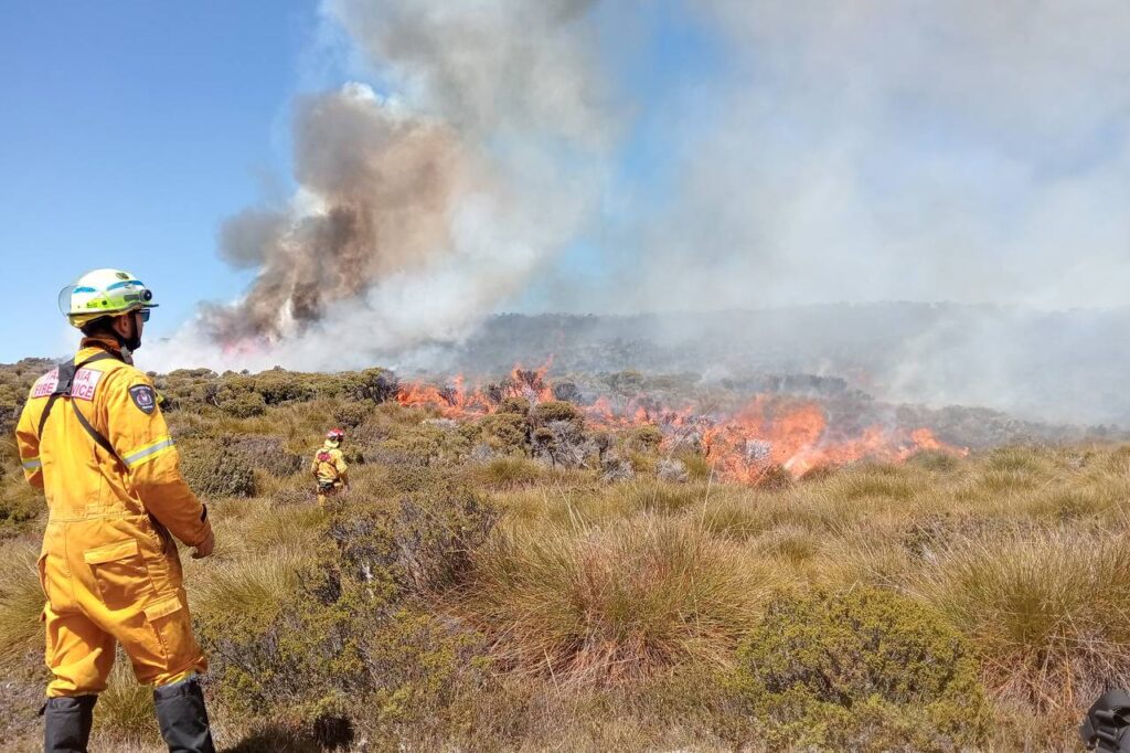 Fire crews face a ‘long, hard slog’ as West Coast bushfires rage on ...