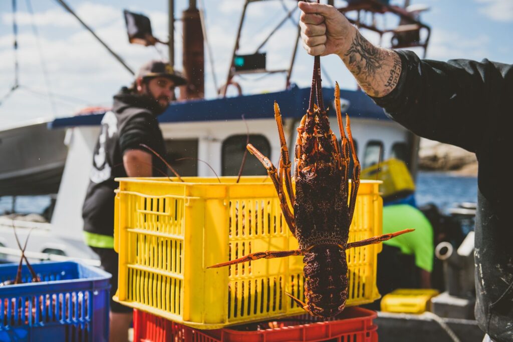 Gordon Ramsay crowns Tasmania as a world-class food destination - Pulse ...