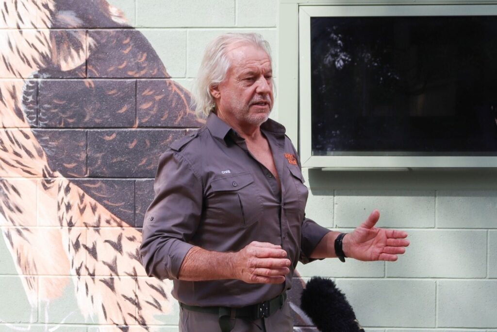 $10,000 reward offered after protected sea eagle killed near Evandale ...