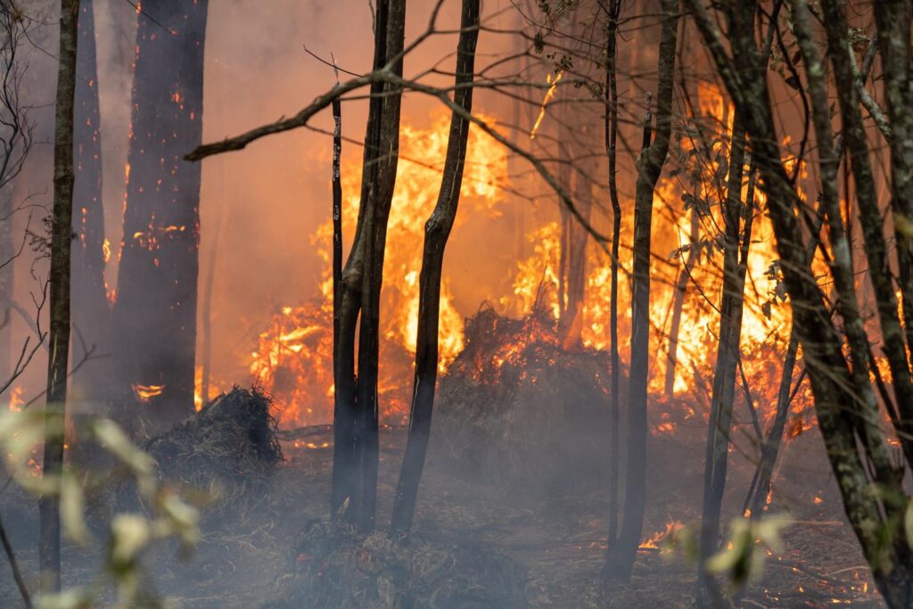 Margate bushfire scorches 480 hectares, could take weeks to contain ...