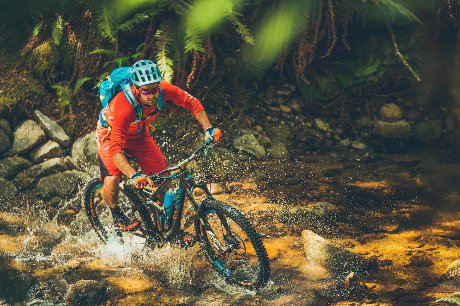 Rangers use Strava data to track illegal mountain bike trails on Mount ...
