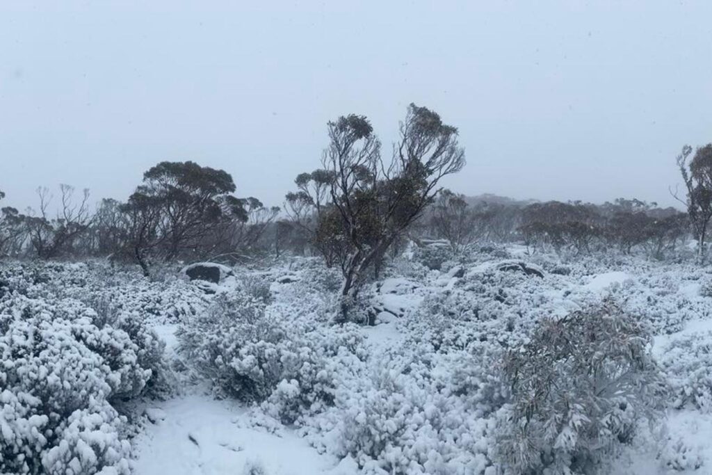 Tasmanian highlands blanketed in spring snowfall as cold front persists ...