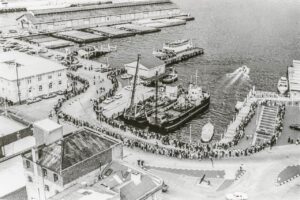 Tasman Bridge disaster in pictures: 50 years since 1975 tragedy - Pulse ...