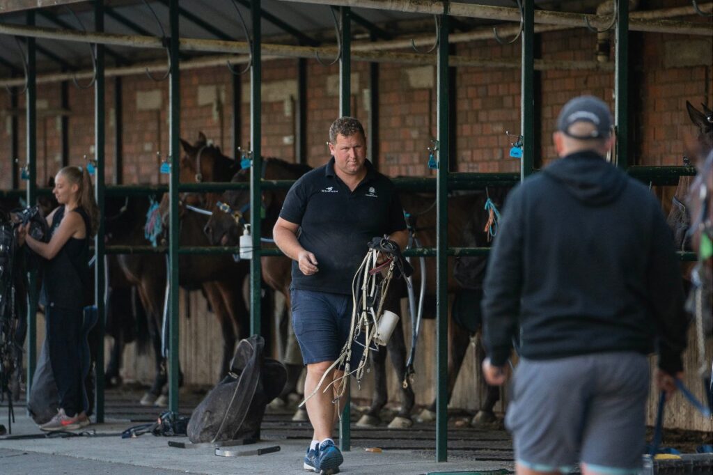 Four Tasmanian harness racing figures charged over mistreatment ...