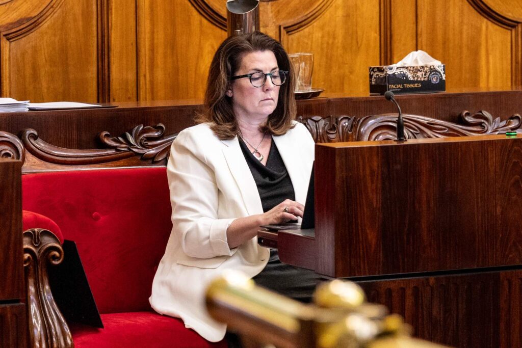 Stadium debate goes until nearly 3am after Meg Webb’s marathon speech ...