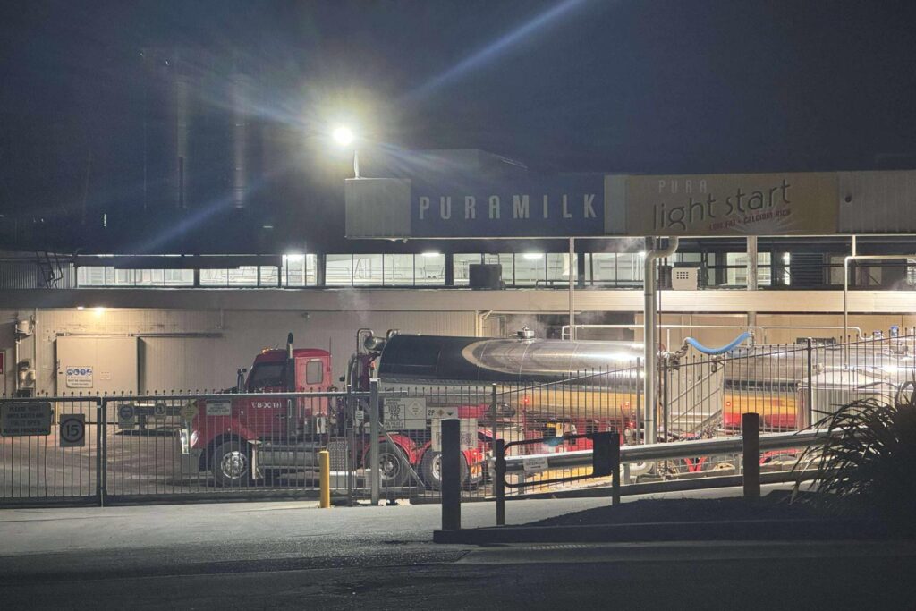 Tasmanians face milk shortage after Bega processing plant breakdown - Pulse Tasmania