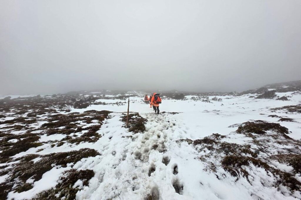 Chinese tourist dies after becoming stranded in extreme weather at ...