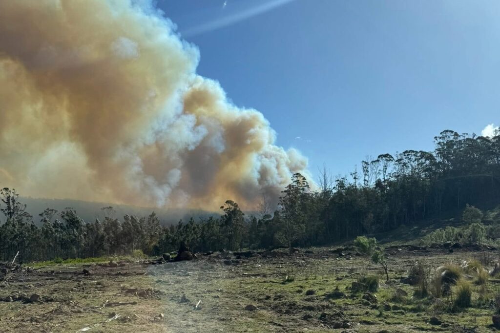 Firefighters battle multiple bushfires as strong winds lash southern ...
