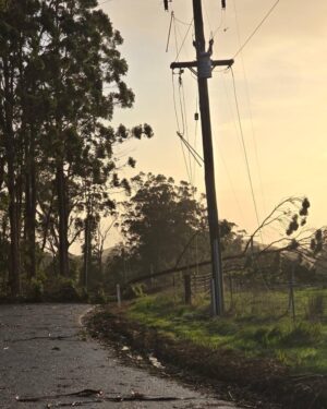 Tasmania power outages: Unprecedented damage causing slow and complex restorations - Pulse Tasmania