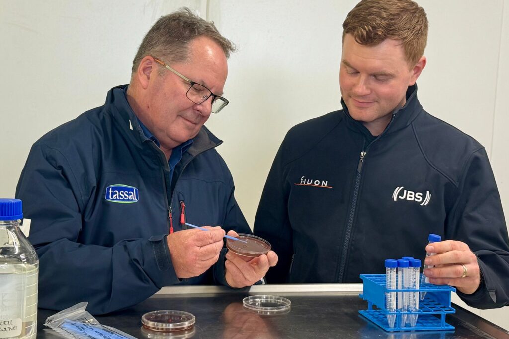 Tasmania’s salmon industry to release selectively bred ‘disease ...