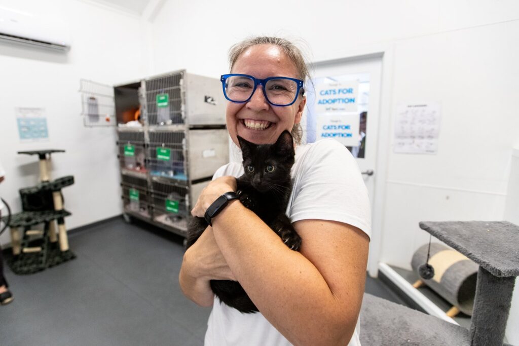 Urgent plea for feline fosters as Ten Lives cat shelter struggles with ...