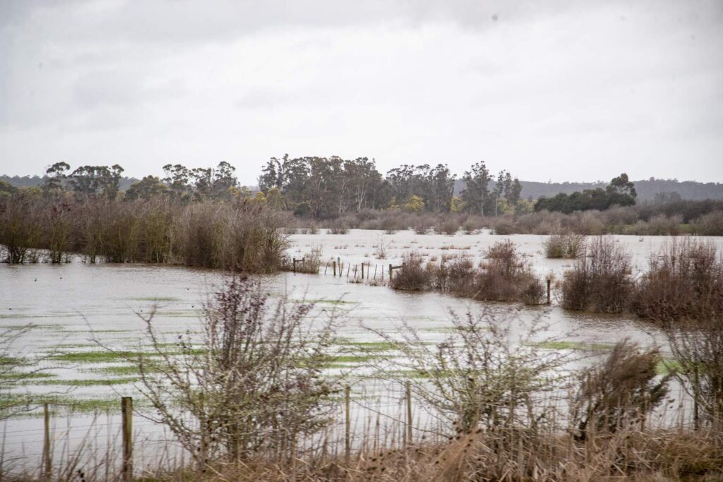 Strategic flood maps revealed to aid at-risk Tasmanian communities ...