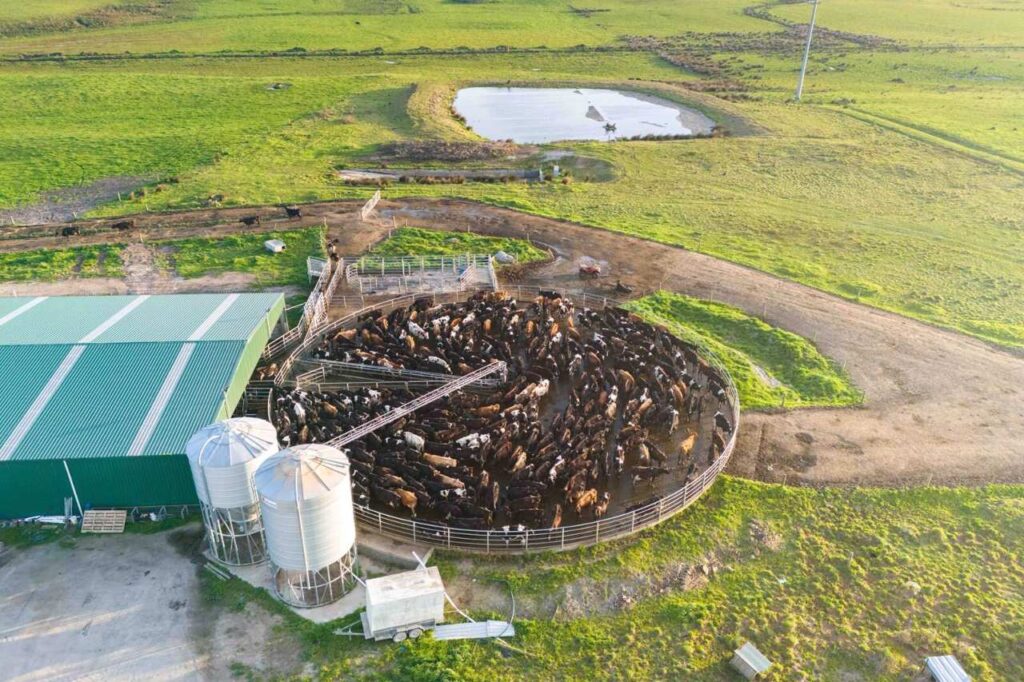 Tasmania’s biggest farm, Rushy Lagoon, could sell for over $100 million ...