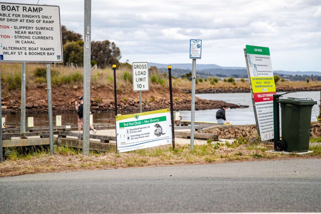 TikToker Jason Howlett fights $1200 fine for disturbing Neil the Seal ...
