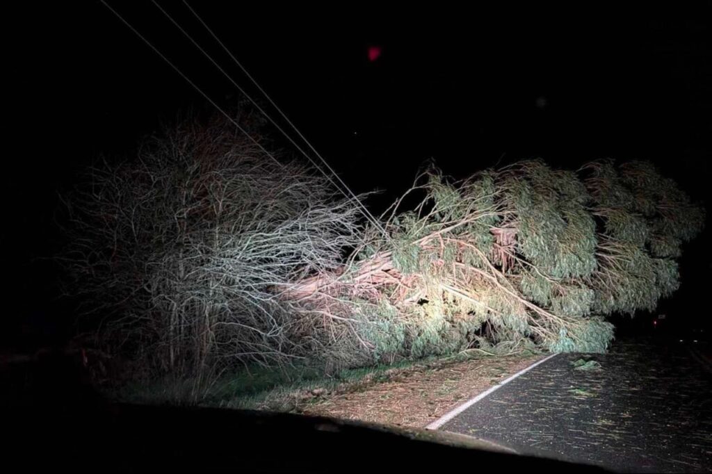 TasNetworks’ response to wild storm that cut power to 47,000 goes under ...