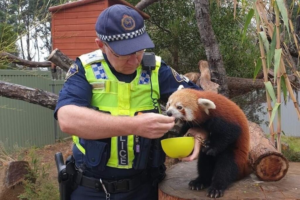 Tasmania Police honour veteran Constable Keith Smith at Devonport ...