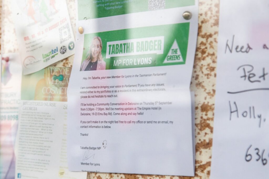 Greens MP Tabatha Badger nominated for Peter Whish-Wilson’s Senate seat ...