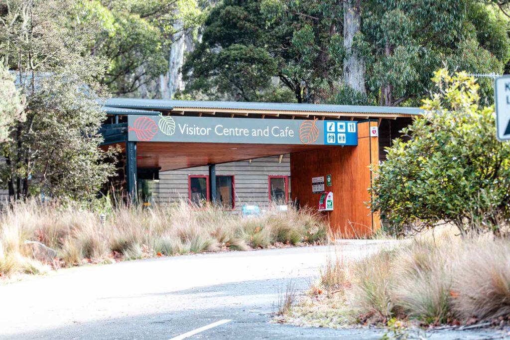 $100,000 in damage to Mount Field’s Waterfalls Cafe after kitchen fire ...