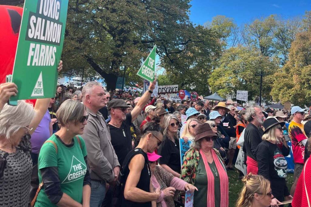 Thousands rally against salmon farming in pre-election Hobart protest ...