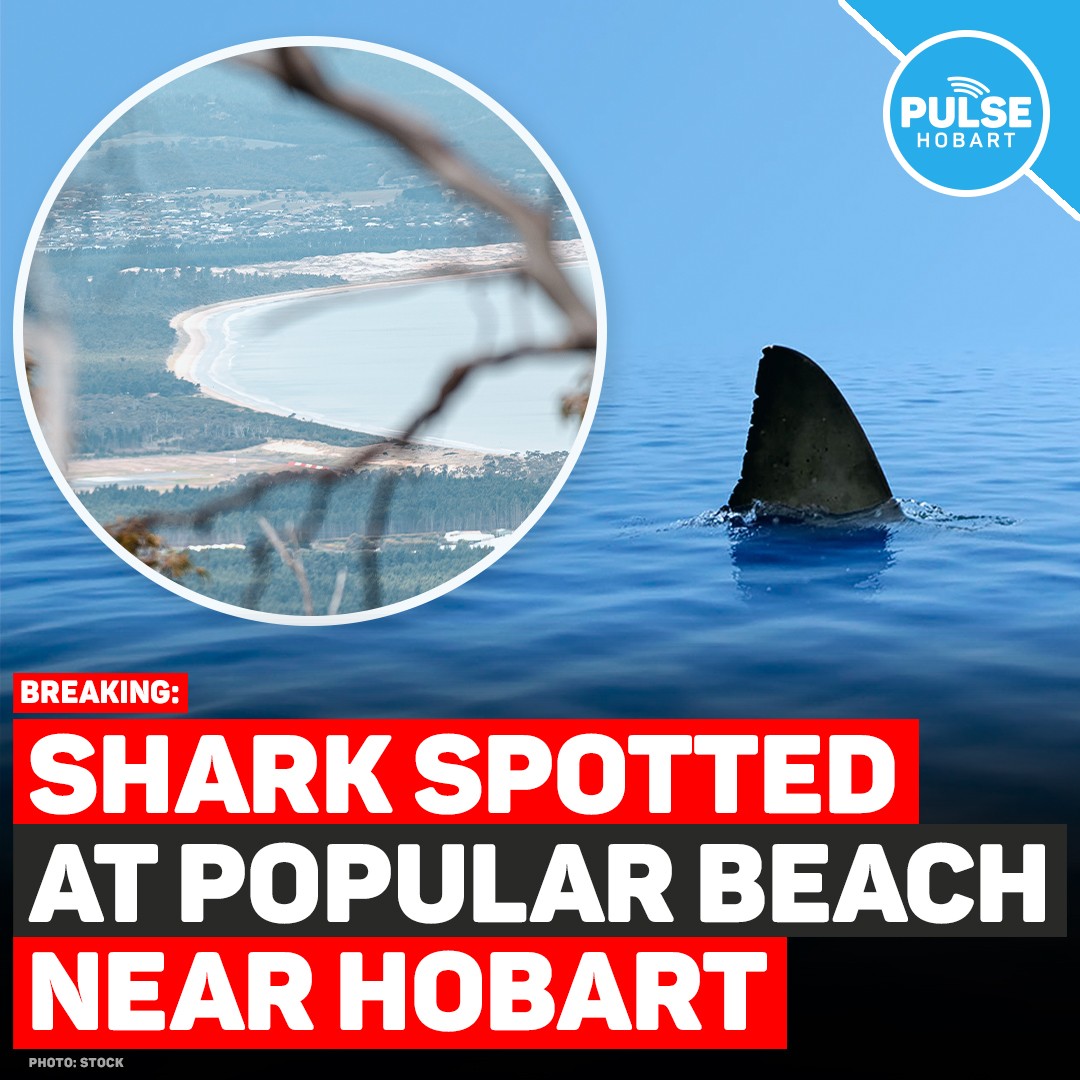 Shark Spotted At Popular Beach Near Hobart - Pulse Tasmania