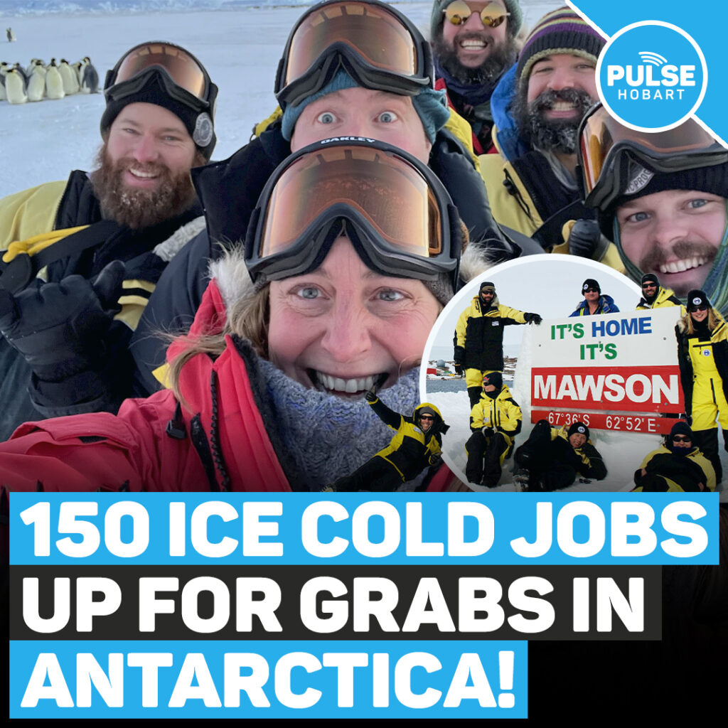 150 ice cold jobs up for grabs in Antarctica - Pulse Tasmania