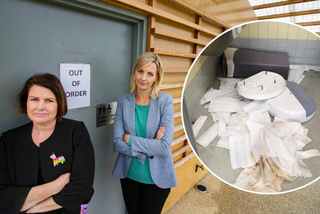 Vandals force toilets at beach south of Hobart shut - Pulse Tasmania