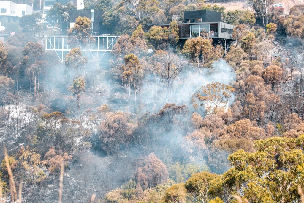 Fuel burn targets Proctors Road, Mount Nelson, The Lea bushfire risk ...