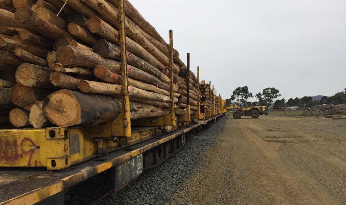 Tasrail Frees Up Tasmanian Highways Of 260000 Tonnes Of Logs With Six Weekly Trains Pulse