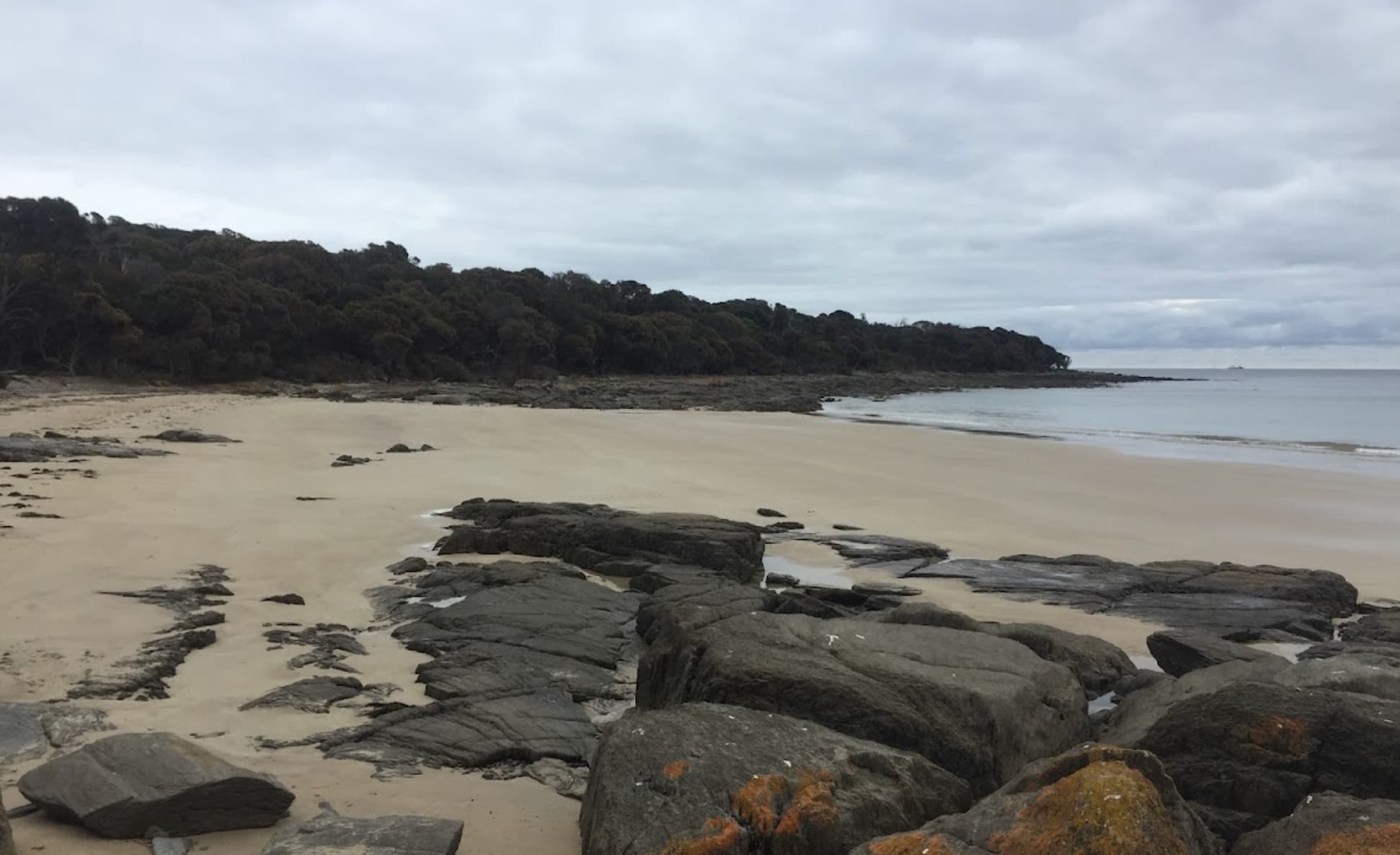 Tasmania’s newest nude beach to open at First Little Beach in Boobyalla ...