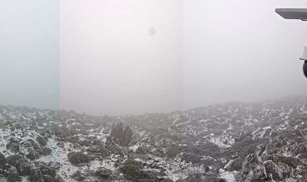 Snow falls on peaks across Tasmania as icy cold blast hits the state ...
