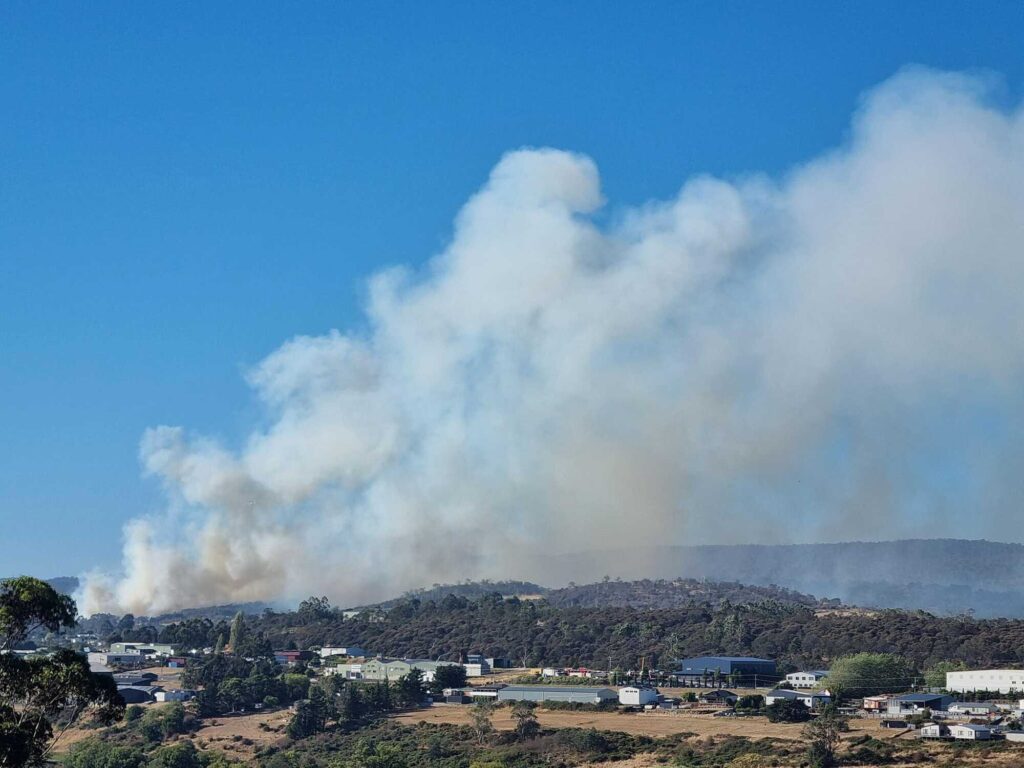Police investigating deliberately lit Ravenswood bushfire that burnt ...