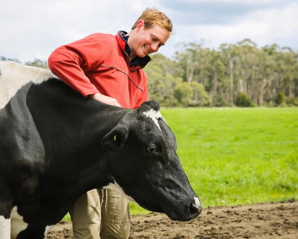 Bignell family behind Tasmania’s Bream Creek Dairy earn finalist spot ...