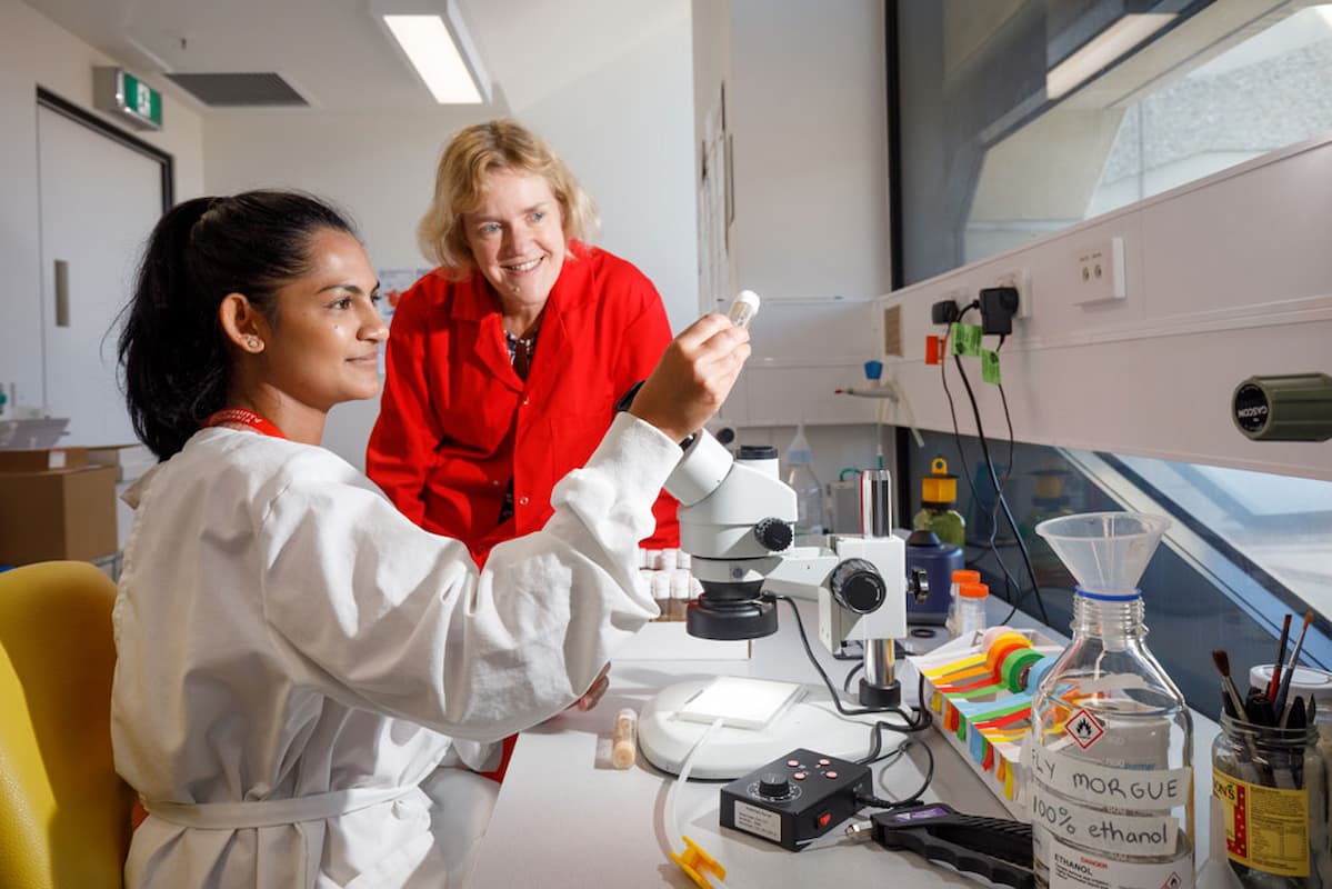 New UTAS rural medical school program to train more students locally ...