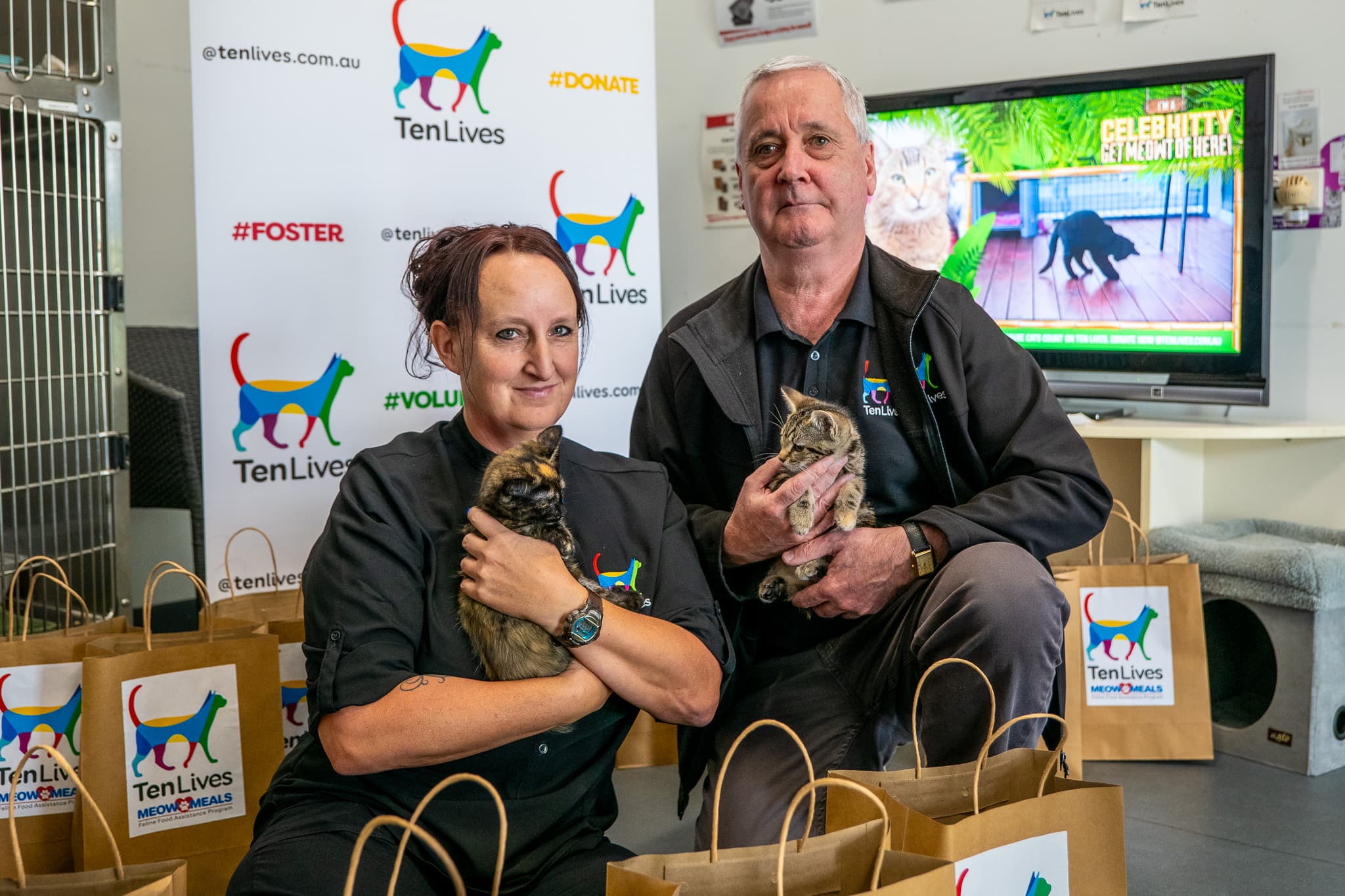 New Ten Lives support program to help struggling Tasmanian cat owners ...