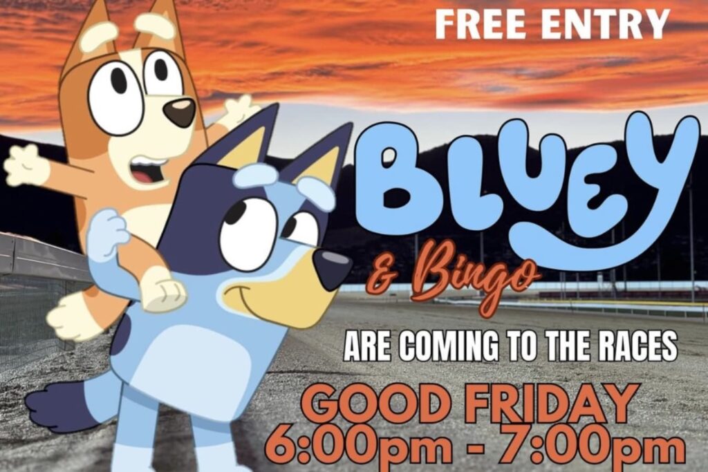 Bluey’s scheduled appearance at Hobart greyhound racing event sparks ...