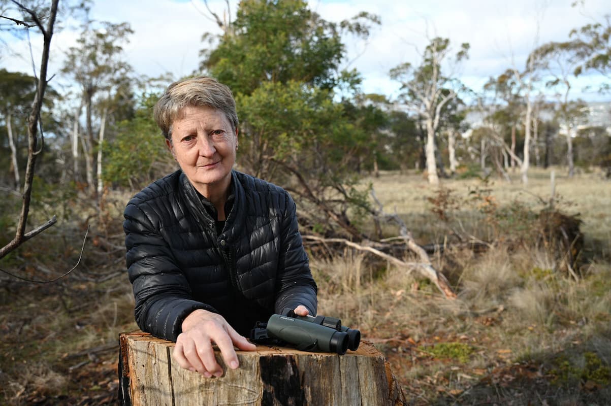 NAMED: Christopher Jordan fronts court accused of Tasmanian teen’s ...