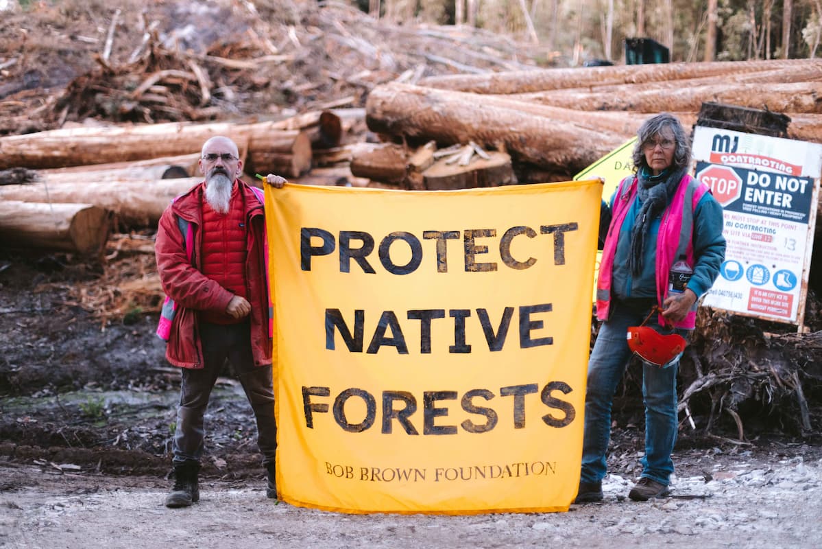 19 Bob Brown Foundation protestors banned from forests take case to ...