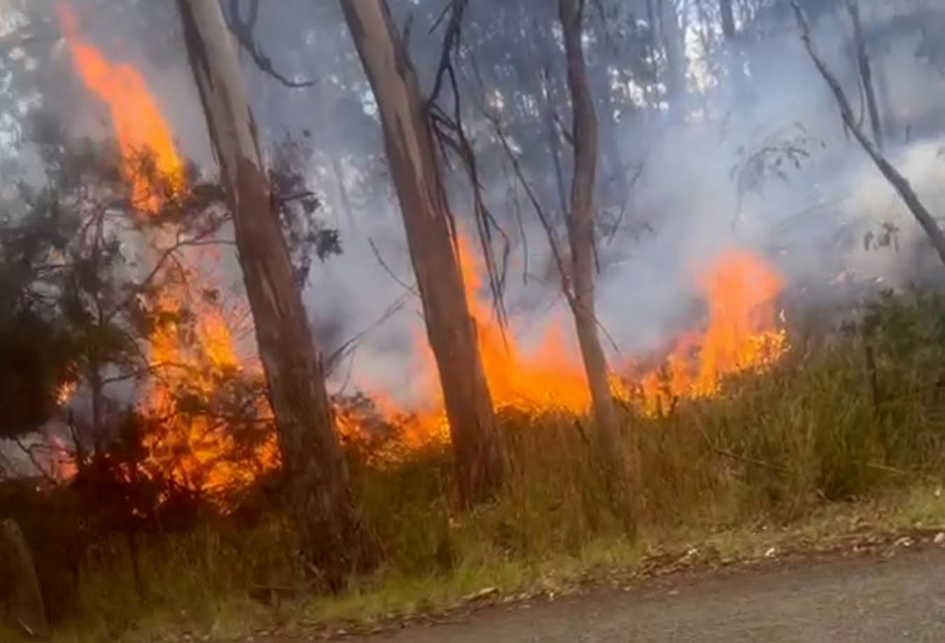 Waterbombing helicopters on-scene as bushfire breaks out in small Bruny ...