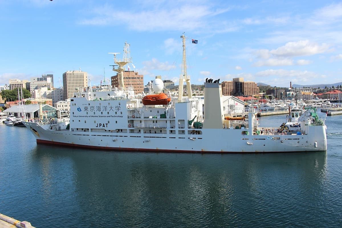 Umitaka Maru: Japanese research vessel docks in Hobart - Pulse Tasmania