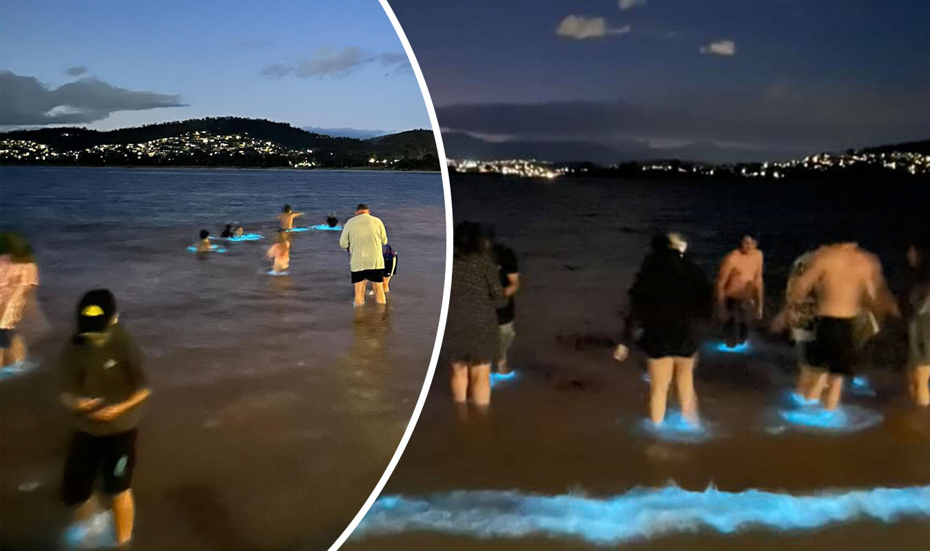 Dozens flock to beach on Hobart’s Eastern Shore lit up by ...