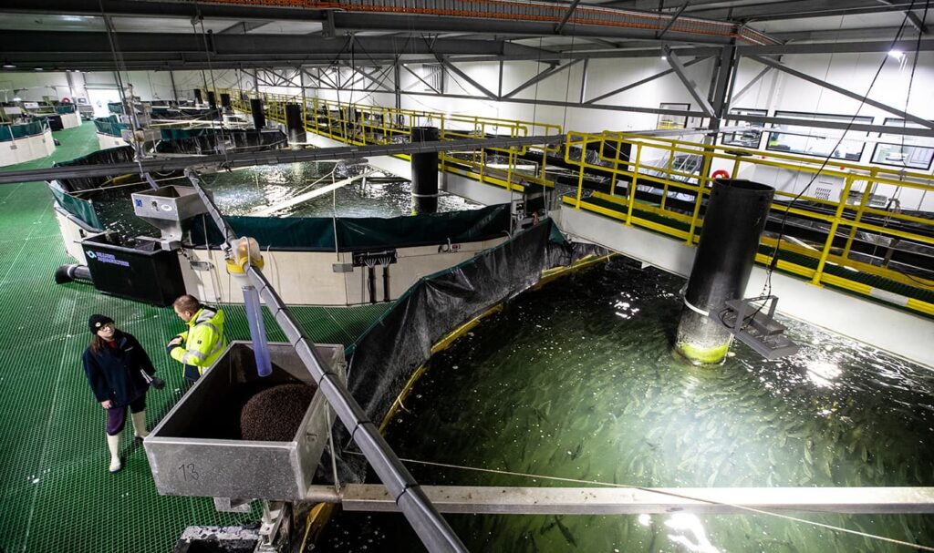 Huon Aquaculture invests $110 million to expand land-based salmon farming - Pulse Tasmania