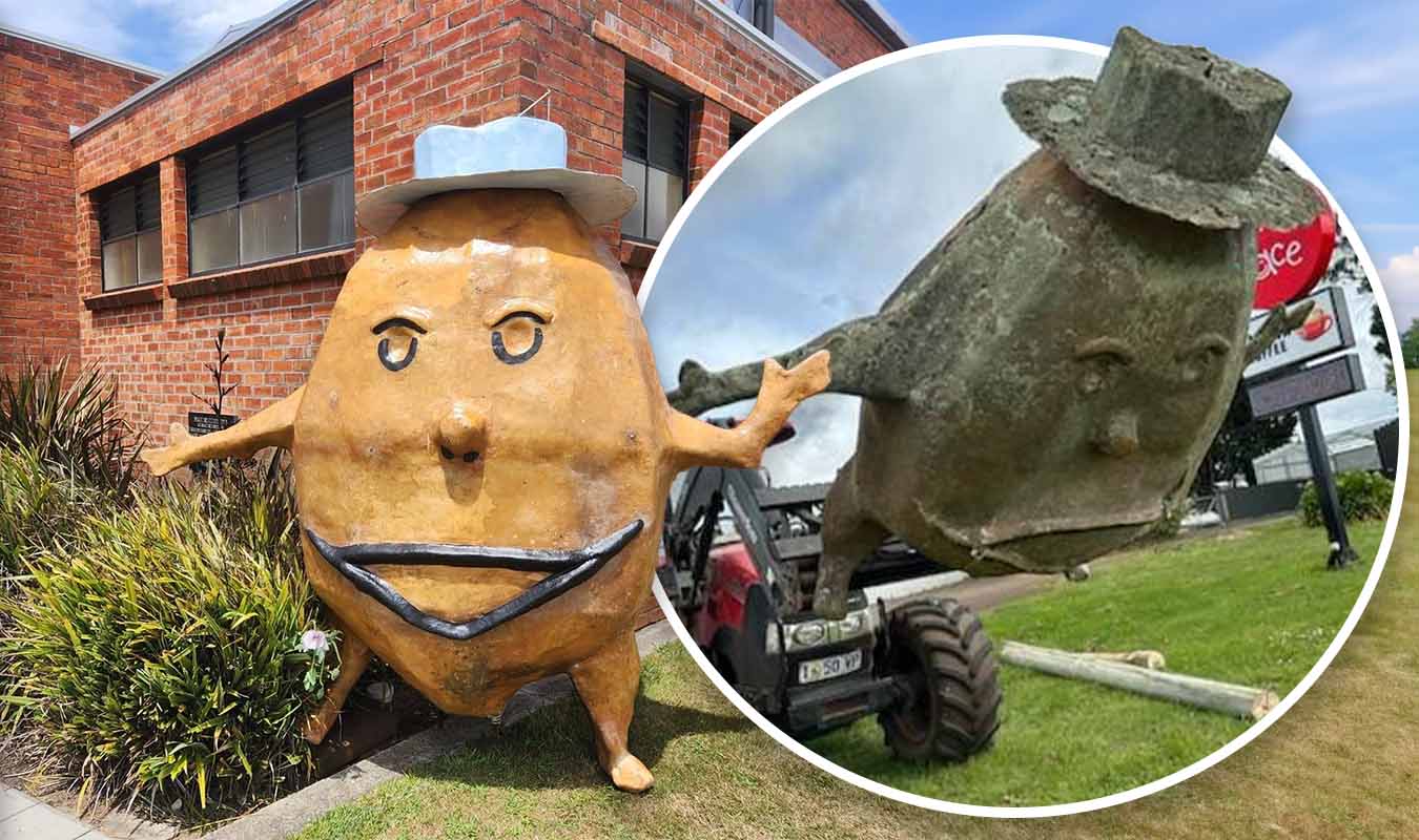 Rockliff family floats idea of memorial park for Sassafras’ Big Spud in ...