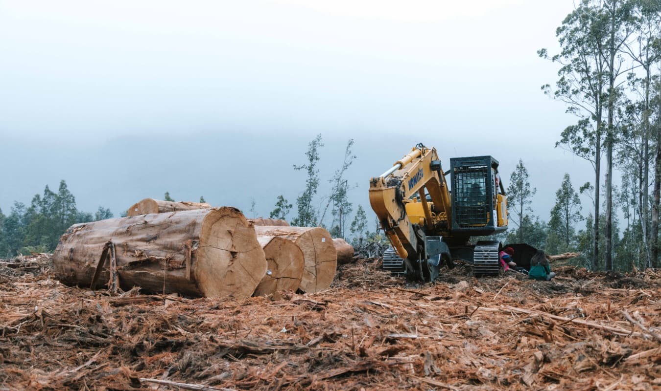 Environmentalists to risk time in jail over fight against Liberal ...