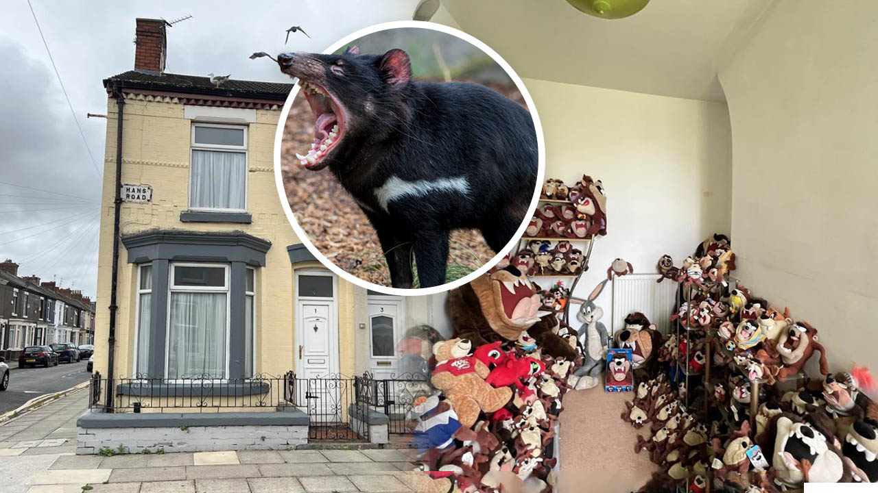 Tasmanian Devil-Filled Home in the UK Goes Viral - Pulse Tasmania