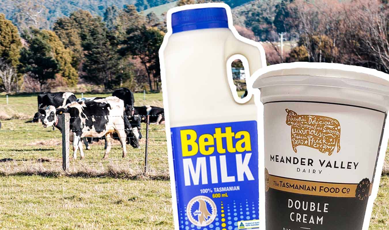 Iconic Tasmanian milk brands sold to mainland Bega Cheese for $11M - Pulse Tasmania