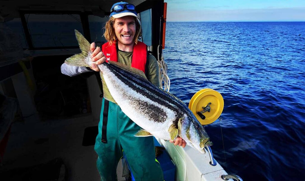 IMAS reels in 41-year-old striped trumpeter on Tasmania’s West Coast ...