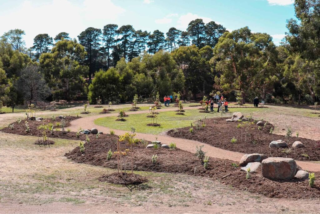 Queen’s Jubilee trees planted in new Derwent Valley park - Pulse Tasmania